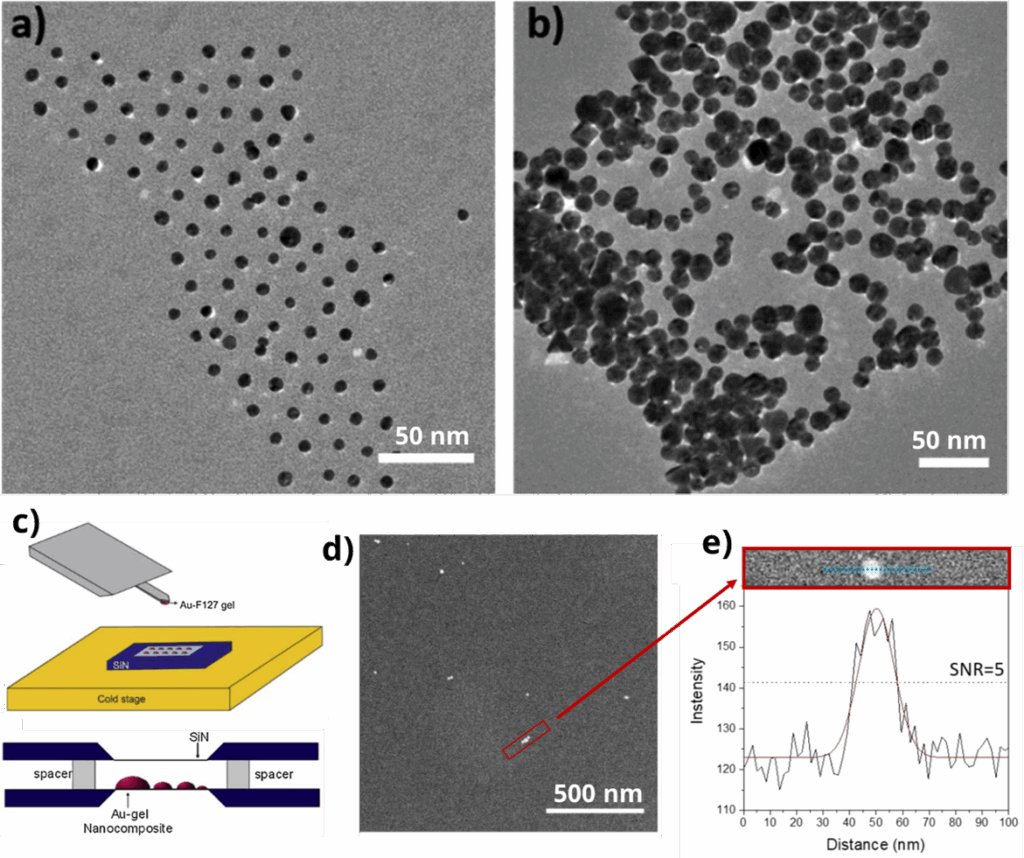 Gen IV SEM liquid flow sample holder – gel-based Au nanocomposite ...