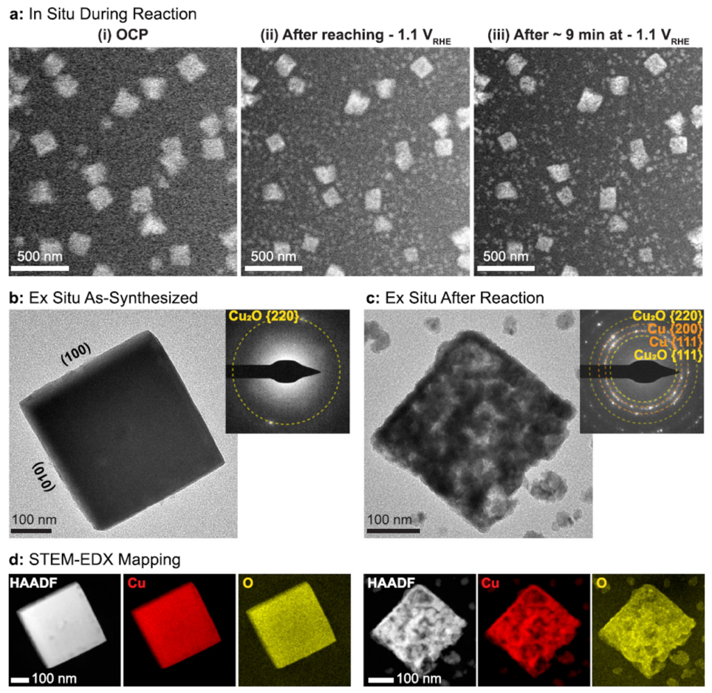 Postmortem analysis with tomography holder supplements in-situ liquid ...