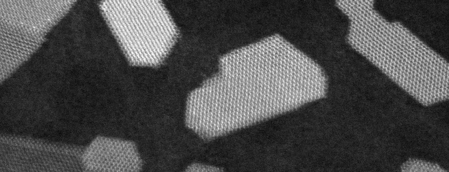 2D Materials | Hummingbird Scientific