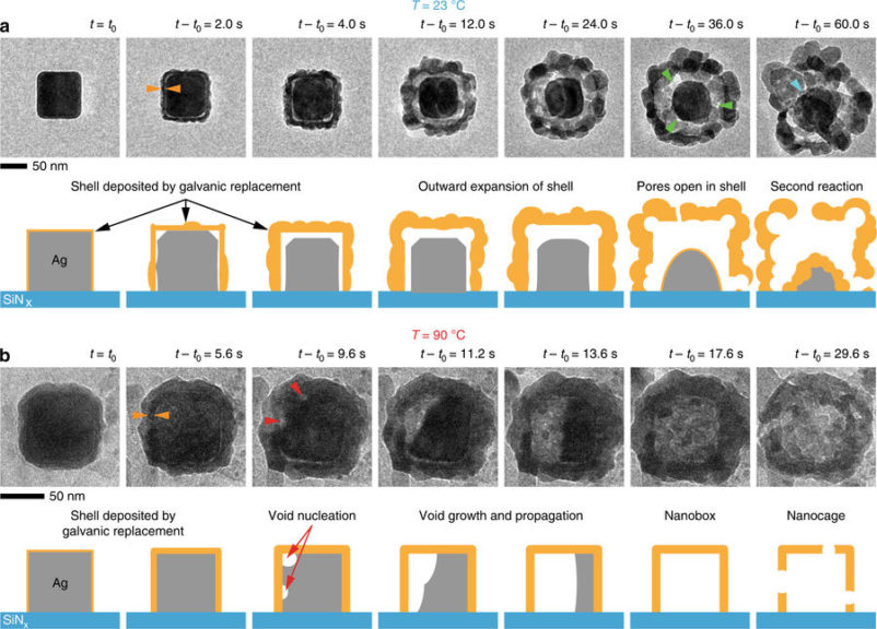 Direct observation of the nanoscale Kirkendall effect during liquid ...