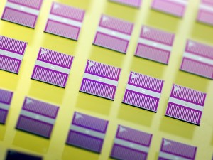 Sample Chips for In-Situ TEM and SEM Holders