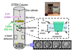 Ultrafast TEM imaging of thermally induced bubbles in liquid ...