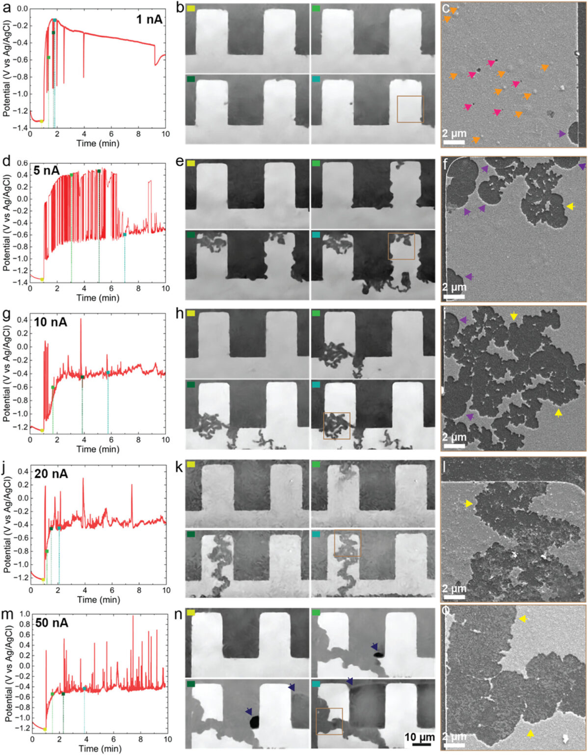 In-situ SEM sample holder suite – localized anodic aluminum corrosion ...