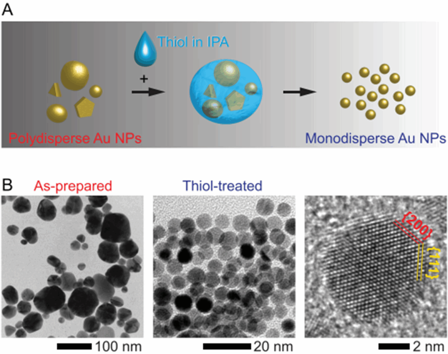 Size-Focusing of Au Nanoparticles through Dissolution–Renucleation ...