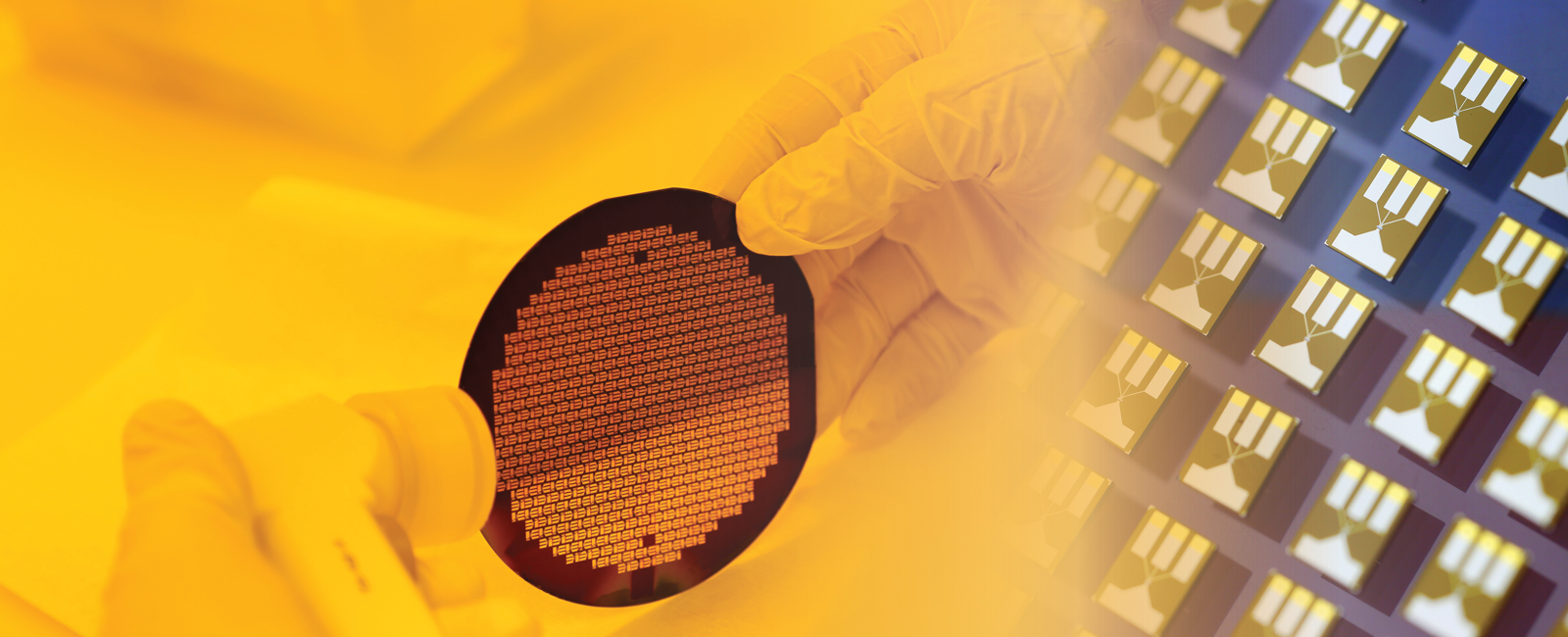 Sample Chips for In-Situ TEM and SEM Holders