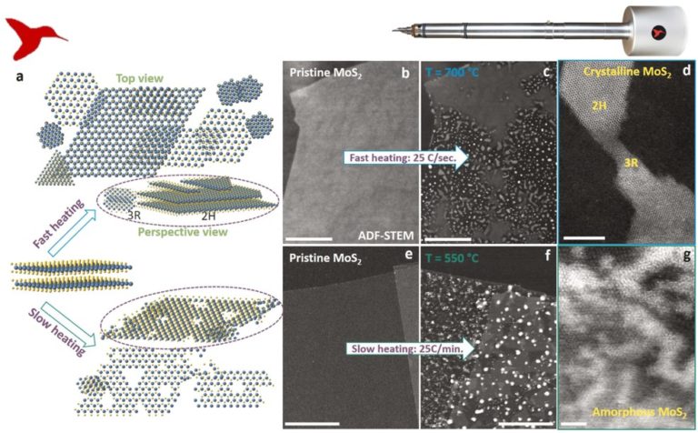 Controlled in-situ TEM heating experiments directly visualize ...