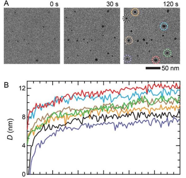 Tracking micelle formation for drug delivery | Hummingbird Scientific