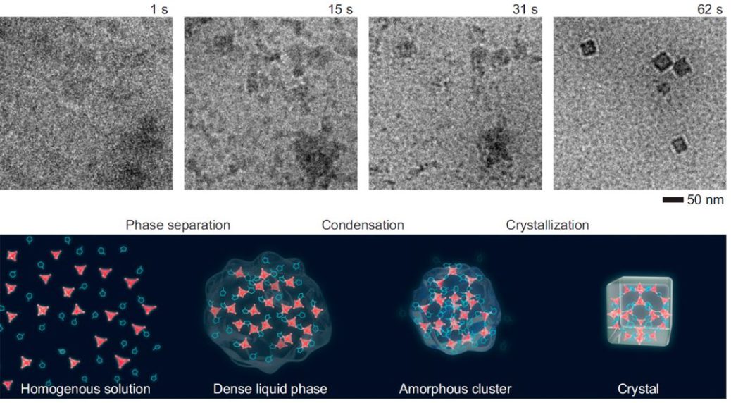 In-situ TEM liquid cell synthesis of metal-organic framework nanocubes ...