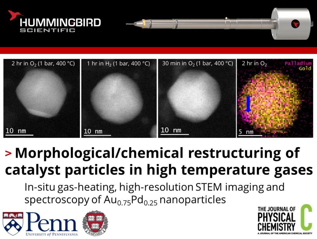 Morphological/chemical restructuring of catalyst particles in high ...
