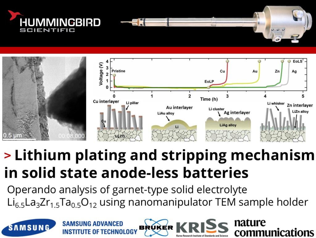 Lithium plating and stripping mechanism in solid state anode-less batteries | Hummingbird Scientific